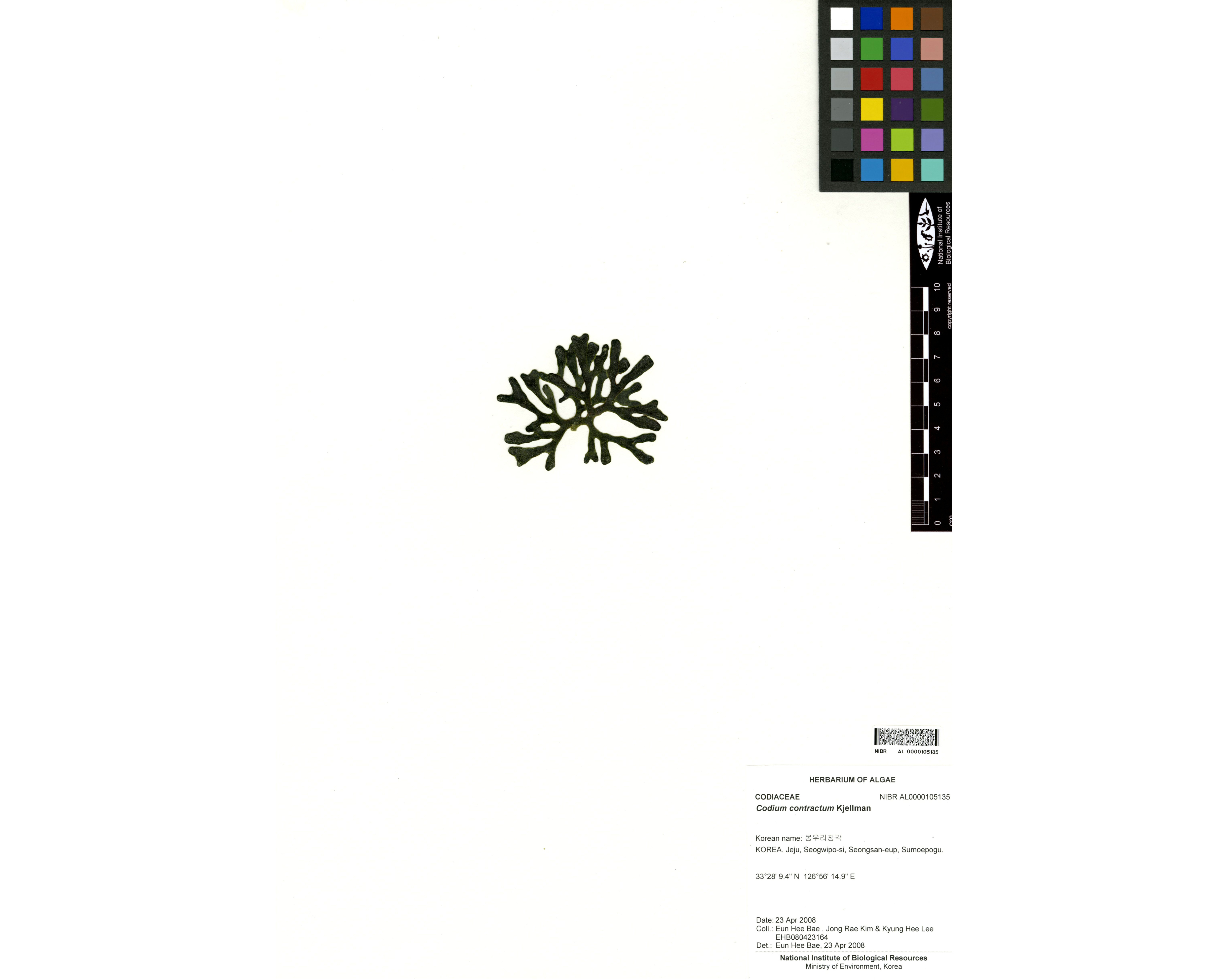 국립생물자원관 한반도의 생물다양성