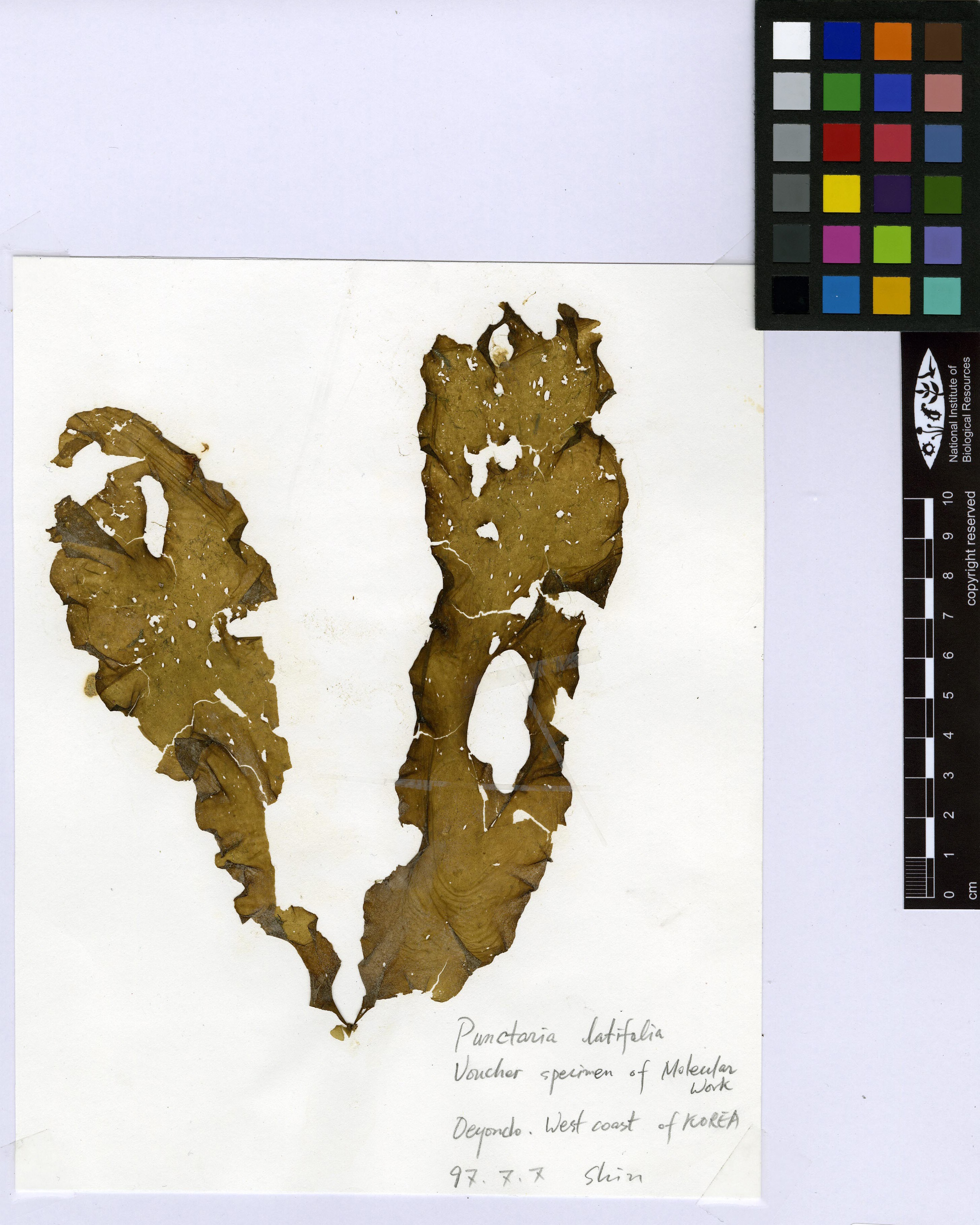 국립생물자원관 한반도의 생물다양성