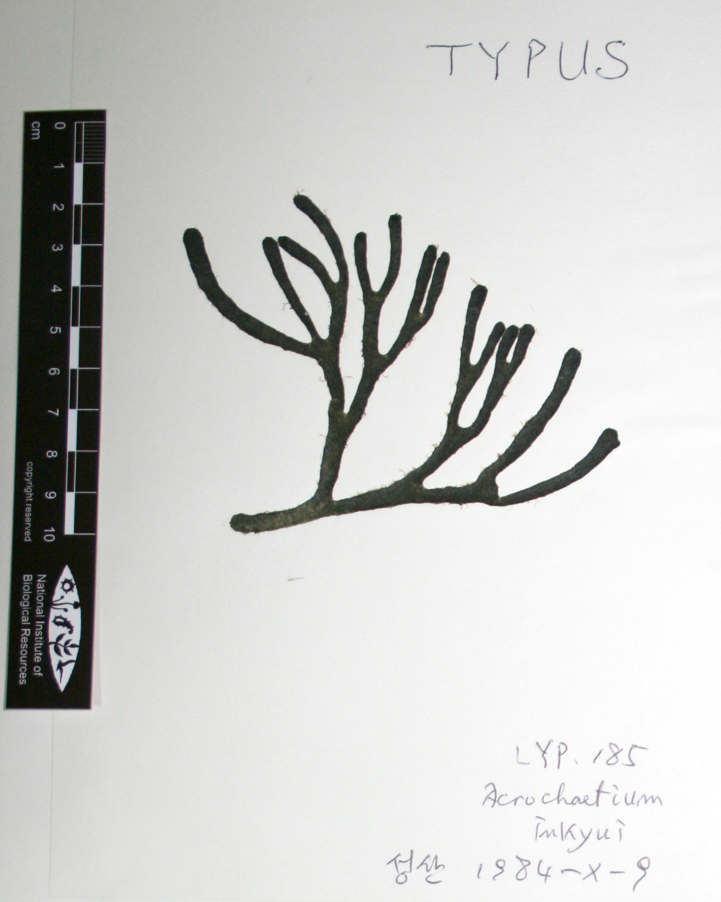 국립생물자원관 한반도의 생물다양성