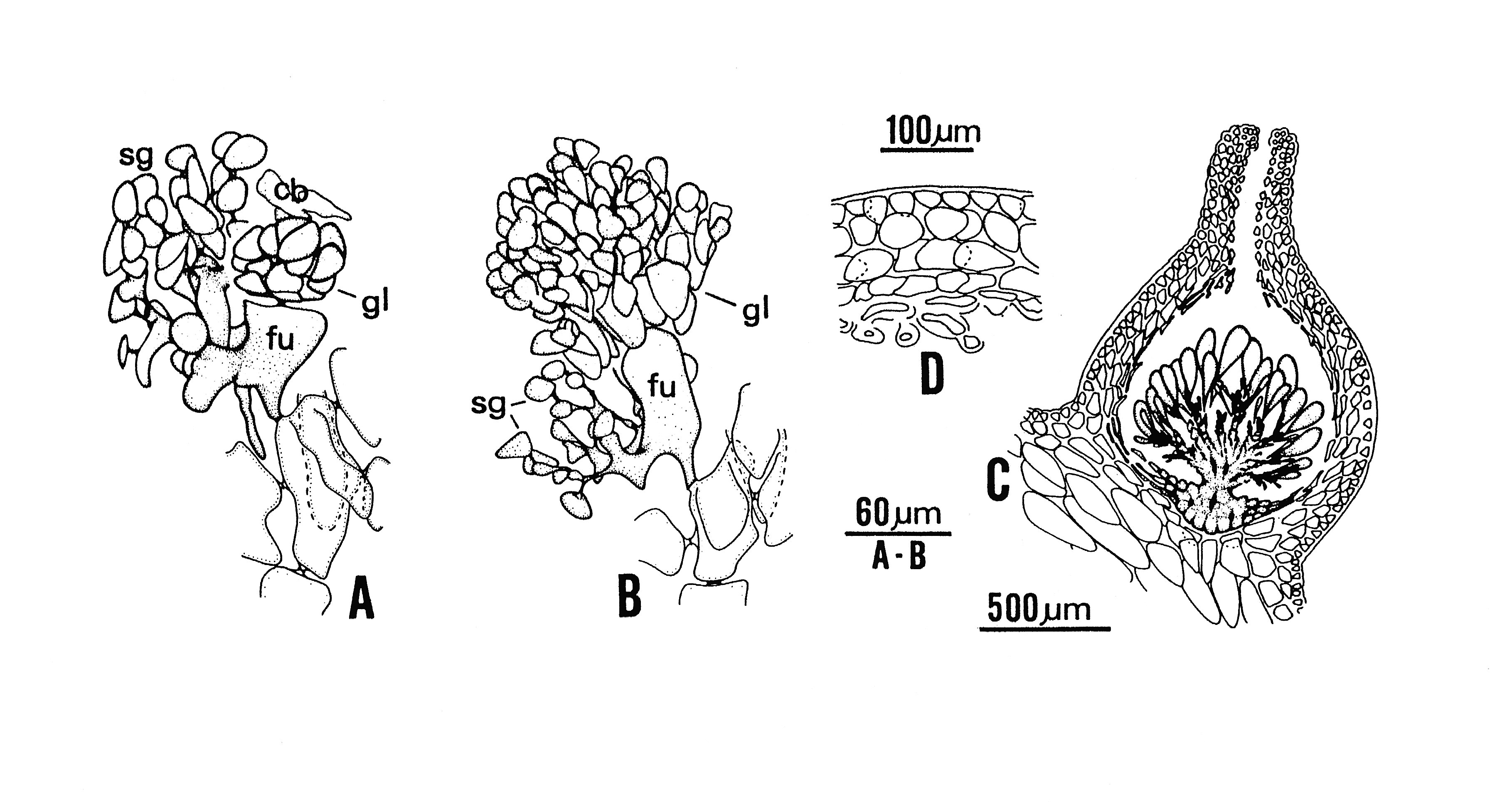 국립생물자원관 한반도의 생물다양성