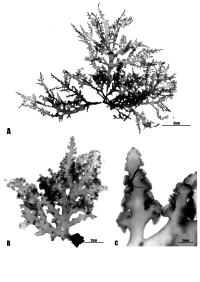 국립생물자원관 한반도의 생물다양성