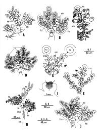 국립생물자원관 한반도의 생물다양성