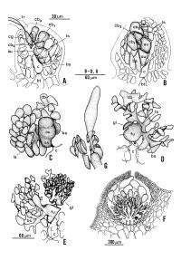 국립생물자원관 한반도의 생물다양성