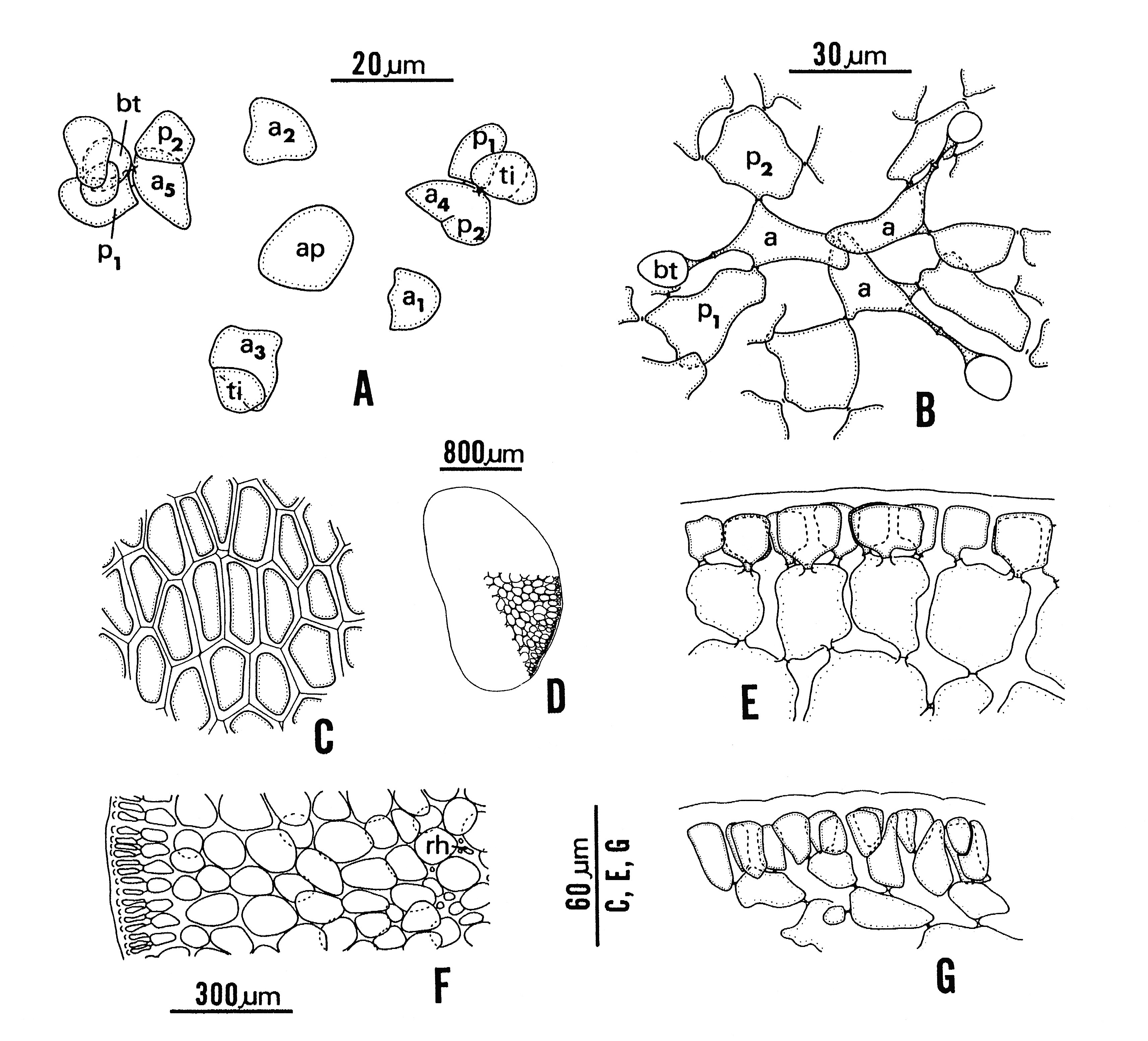 국립생물자원관 한반도의 생물다양성
