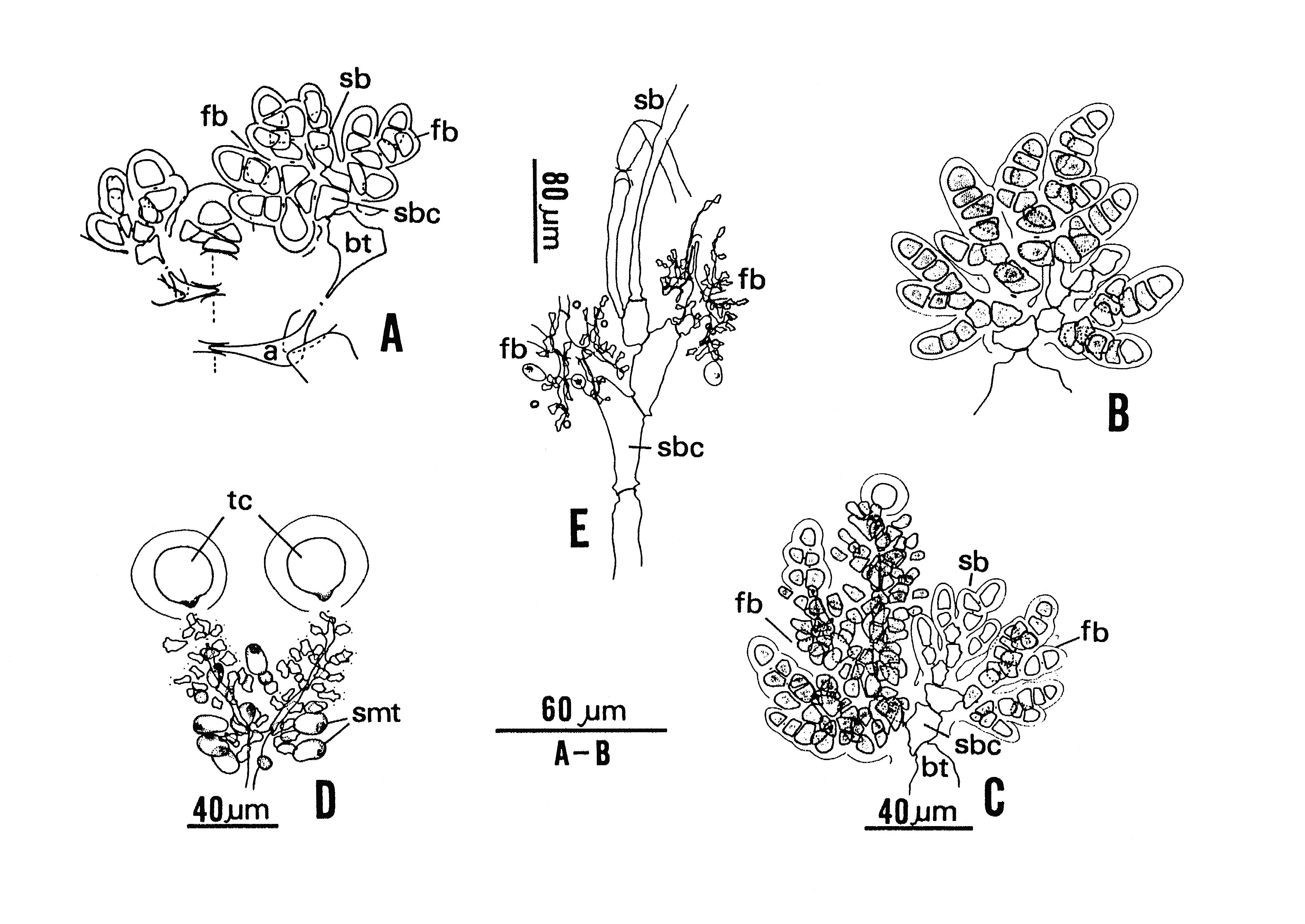 국립생물자원관 한반도의 생물다양성