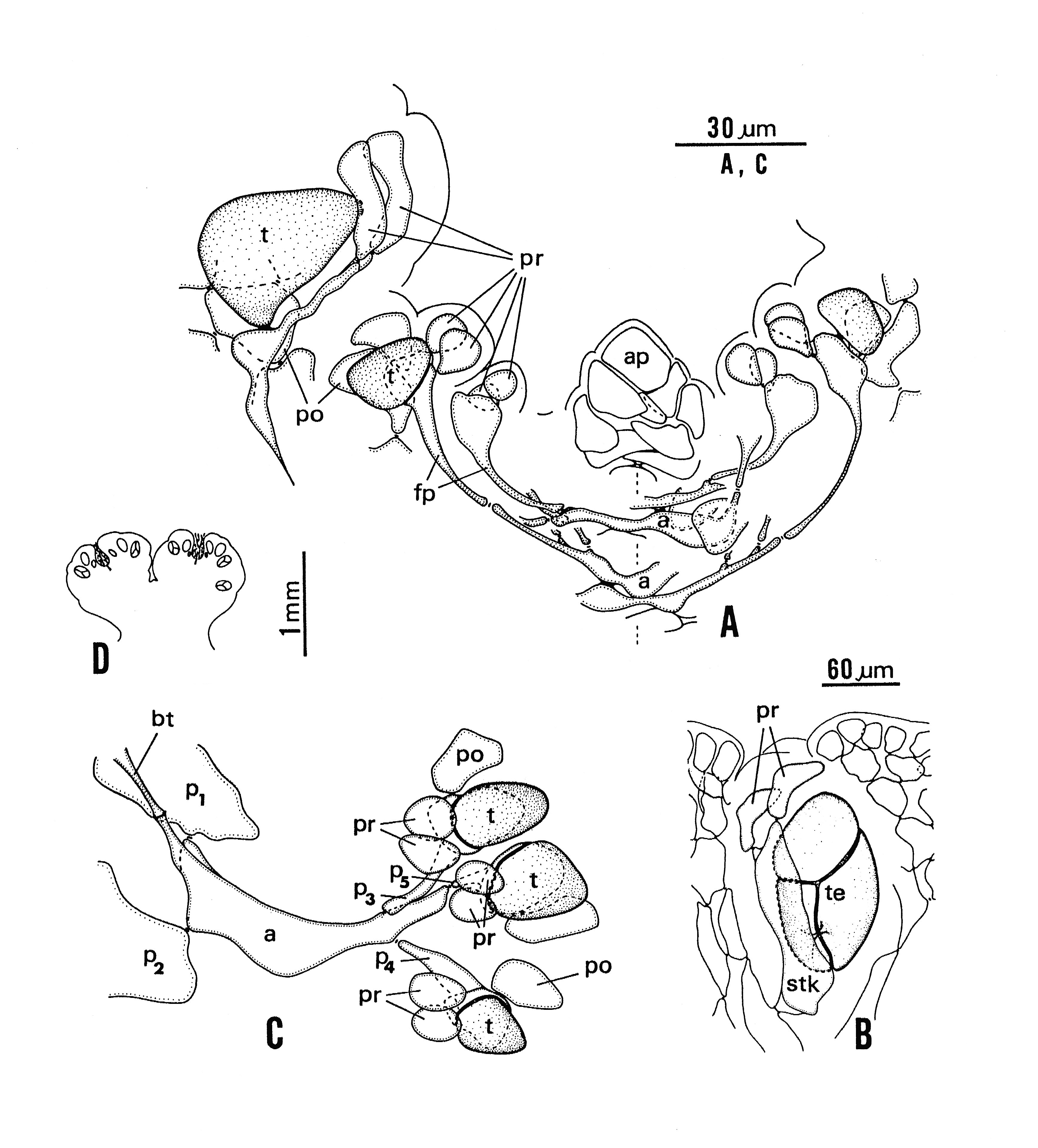 국립생물자원관 한반도의 생물다양성