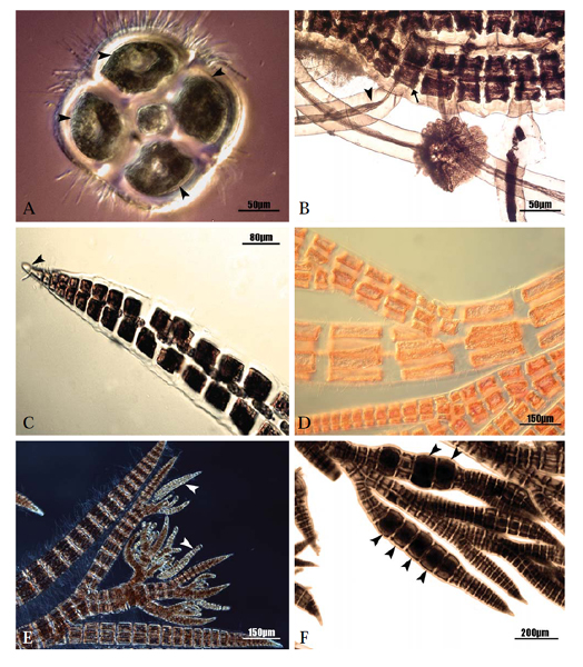국립생물자원관 한반도의 생물다양성