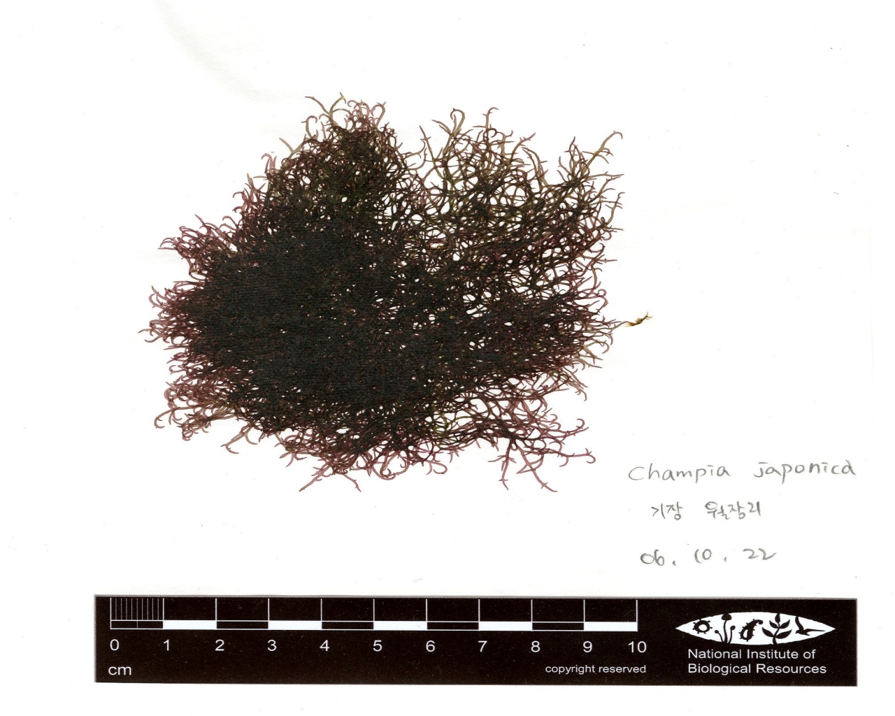 국립생물자원관 한반도의 생물다양성
