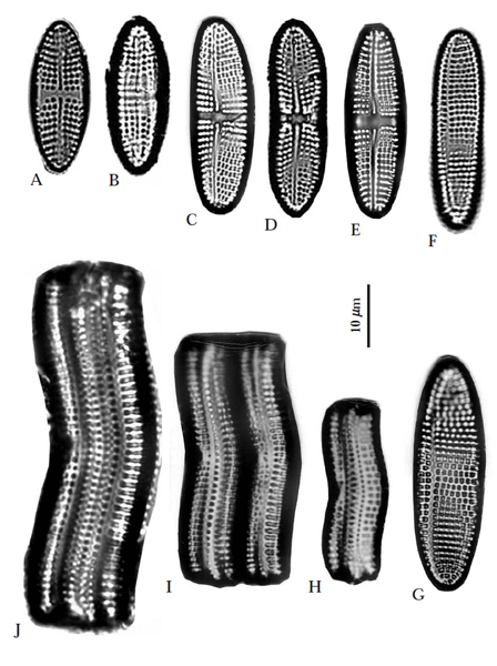 국립생물자원관 한반도의 생물다양성