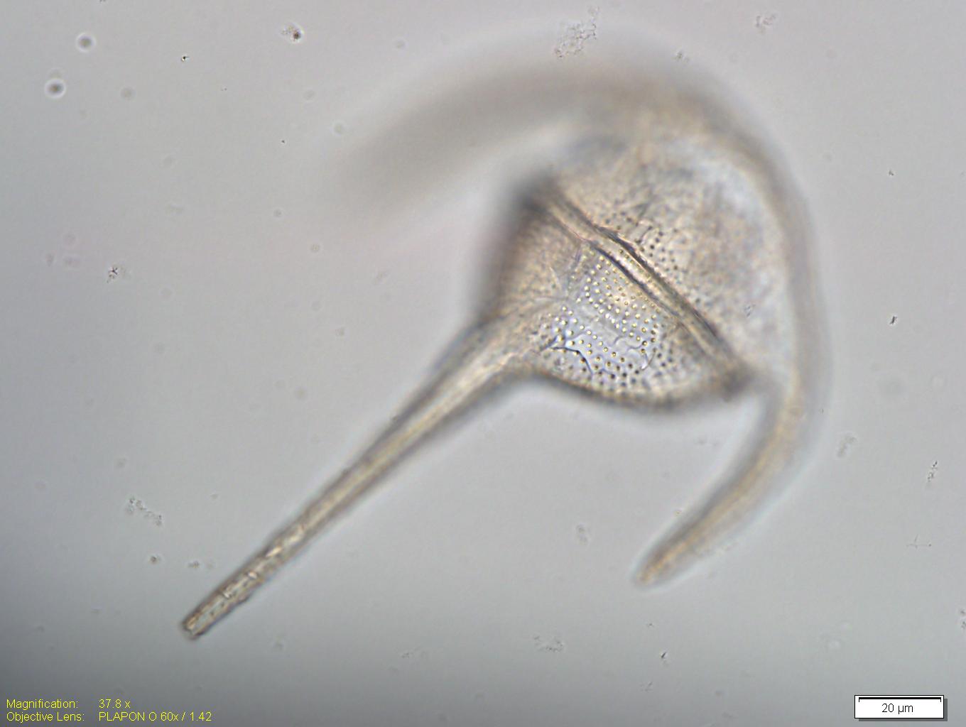 국립생물자원관 한반도의 생물다양성