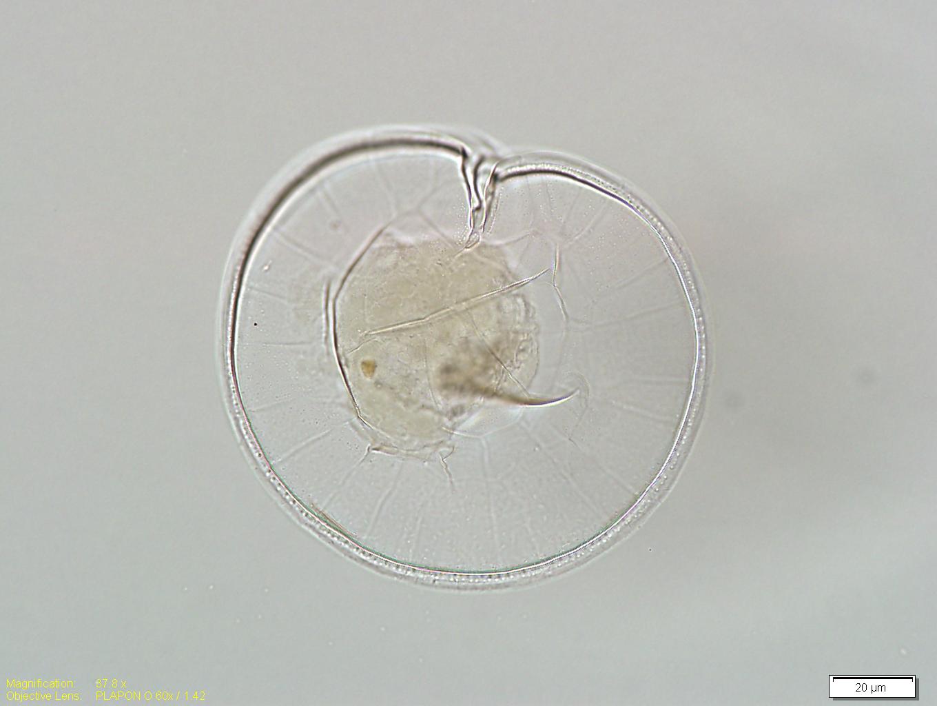 국립생물자원관 한반도의 생물다양성