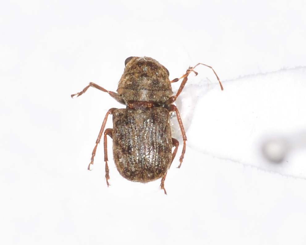 국립생물자원관 한반도의 생물다양성