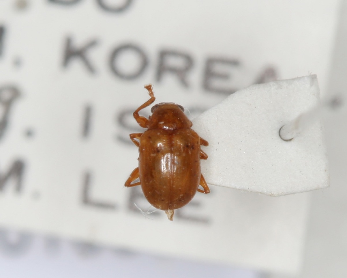 국립생물자원관 한반도의 생물다양성