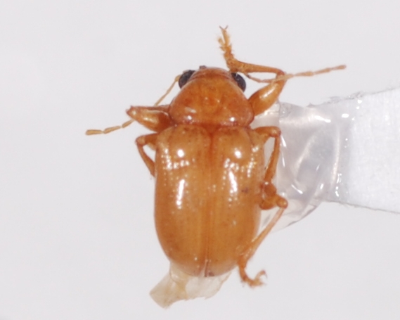 국립생물자원관 한반도의 생물다양성