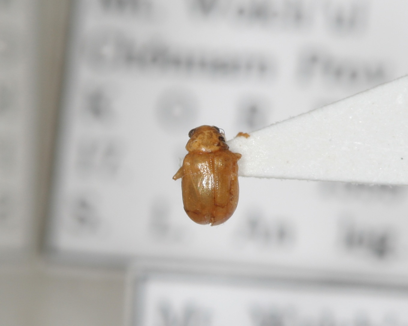 국립생물자원관 한반도의 생물다양성