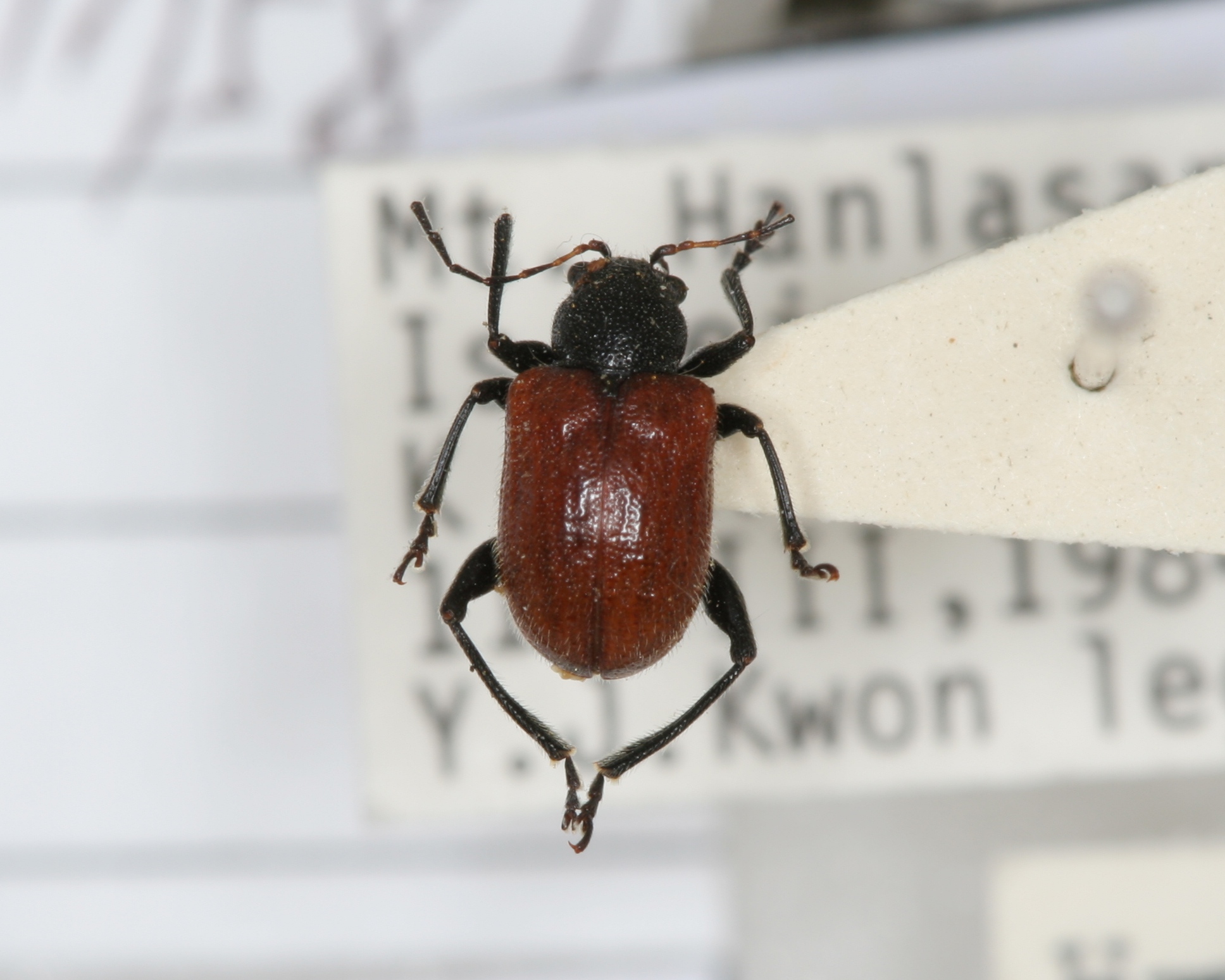 국립생물자원관 한반도의 생물다양성