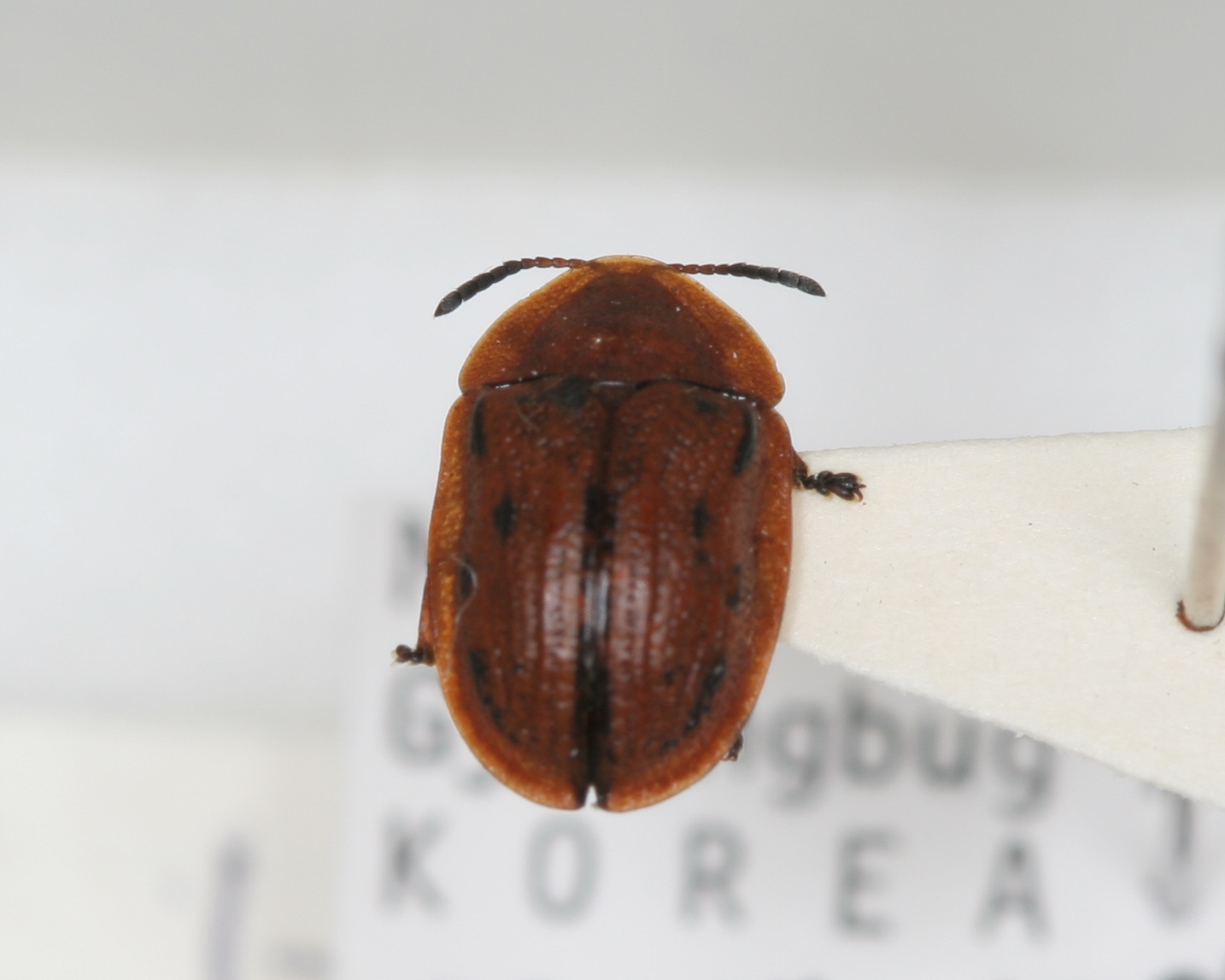 국립생물자원관 한반도의 생물다양성