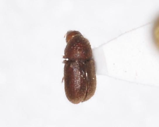 국립생물자원관 한반도의 생물다양성