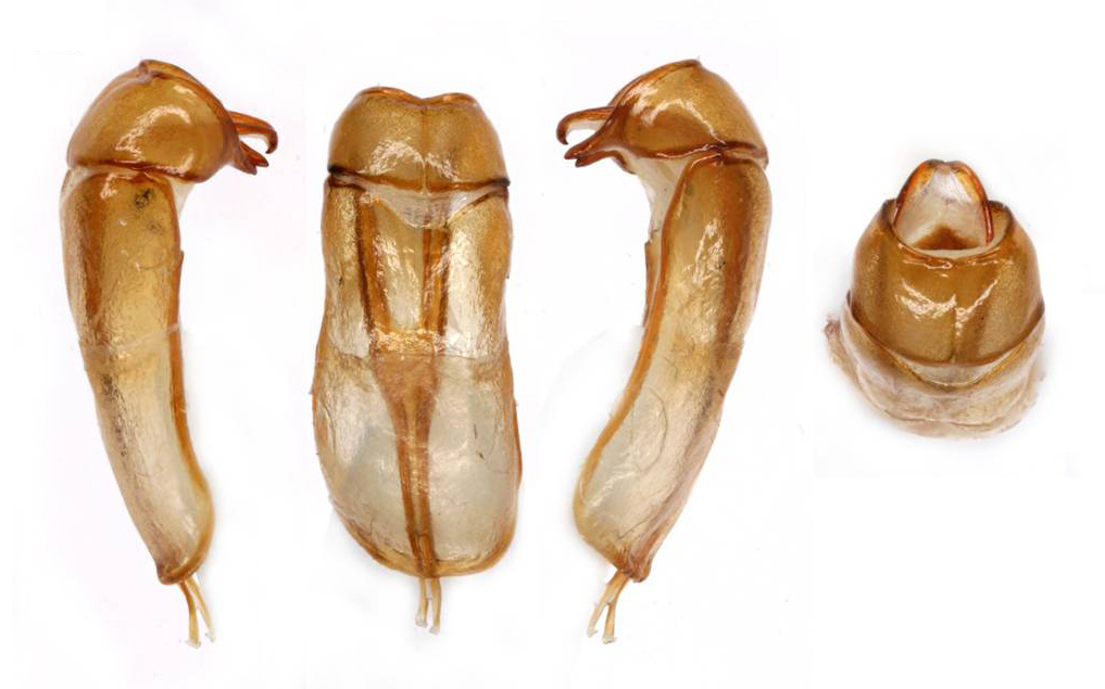 국립생물자원관 한반도의 생물다양성