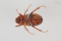 국립생물자원관 한반도의 생물다양성