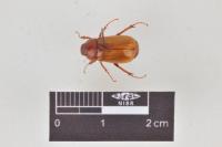 국립생물자원관 한반도의 생물다양성