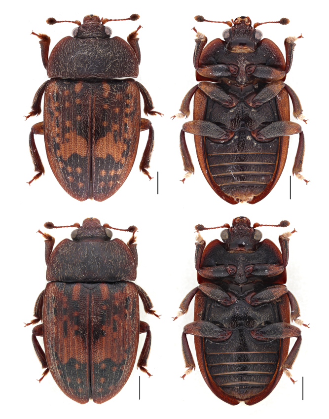 국립생물자원관 한반도의 생물다양성