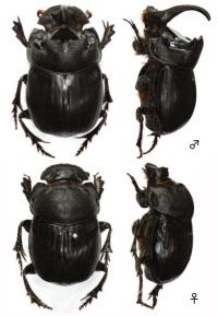 국립생물자원관 한반도의 생물다양성