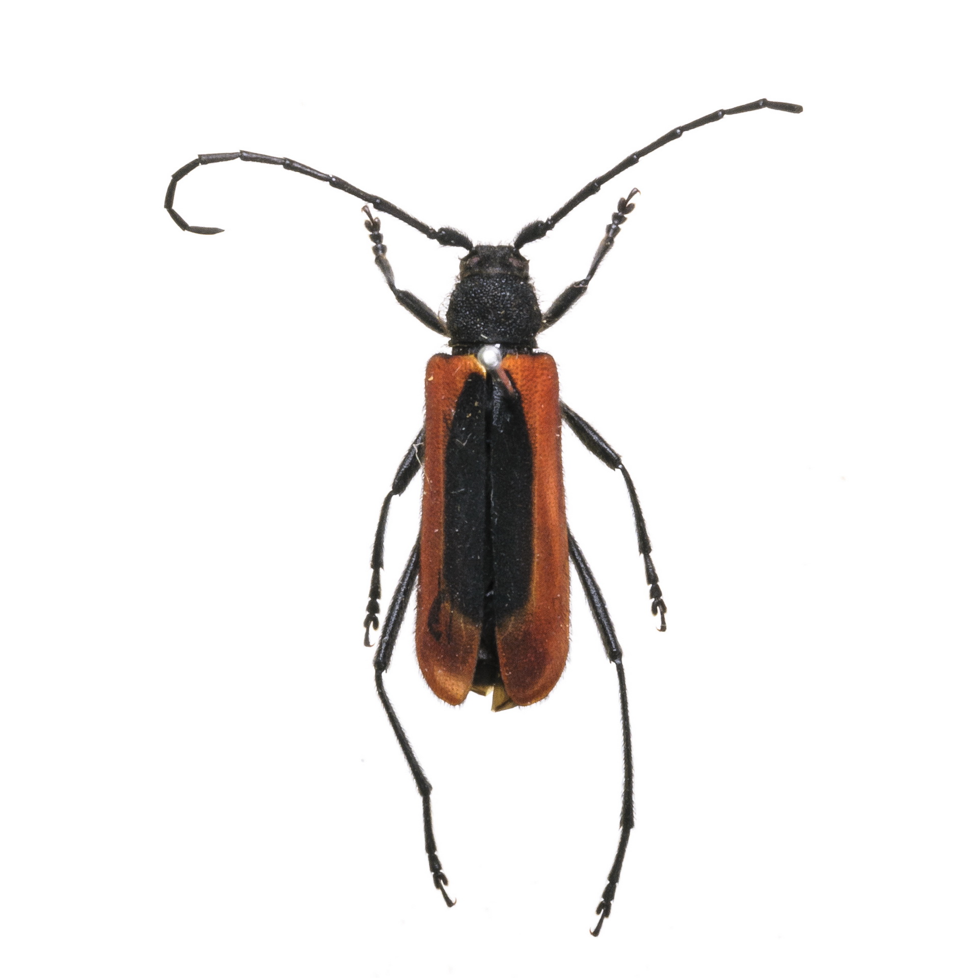 국립생물자원관 한반도의 생물다양성