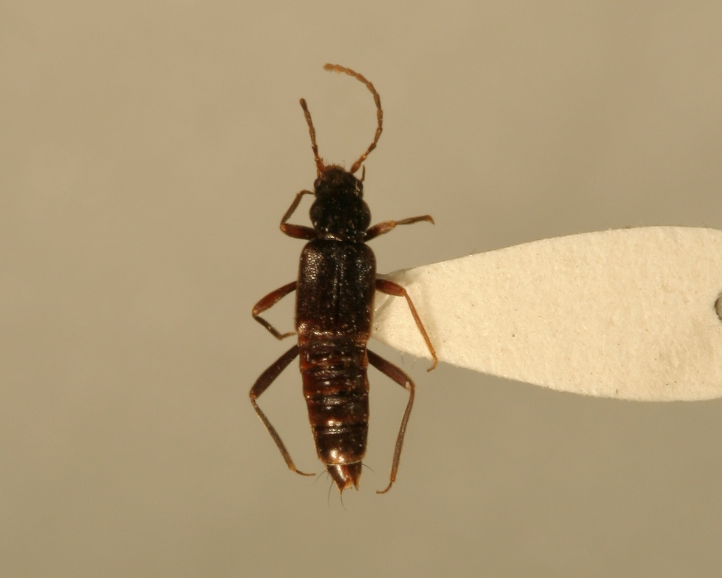 국립생물자원관 한반도의 생물다양성