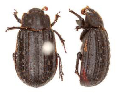 국립생물자원관 한반도의 생물다양성