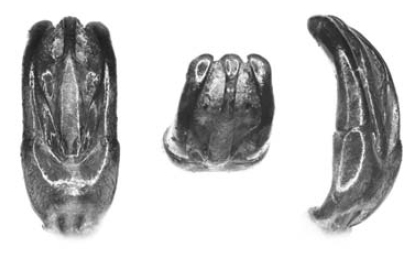 국립생물자원관 한반도의 생물다양성