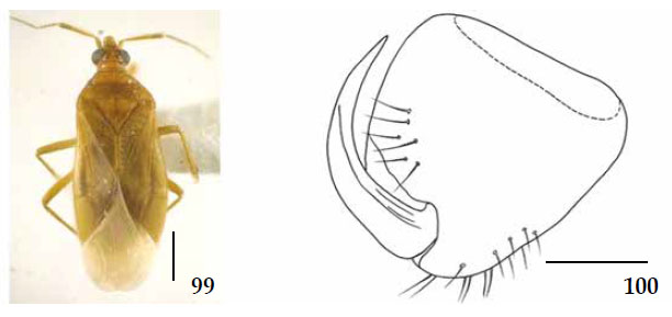 국립생물자원관 한반도의 생물다양성