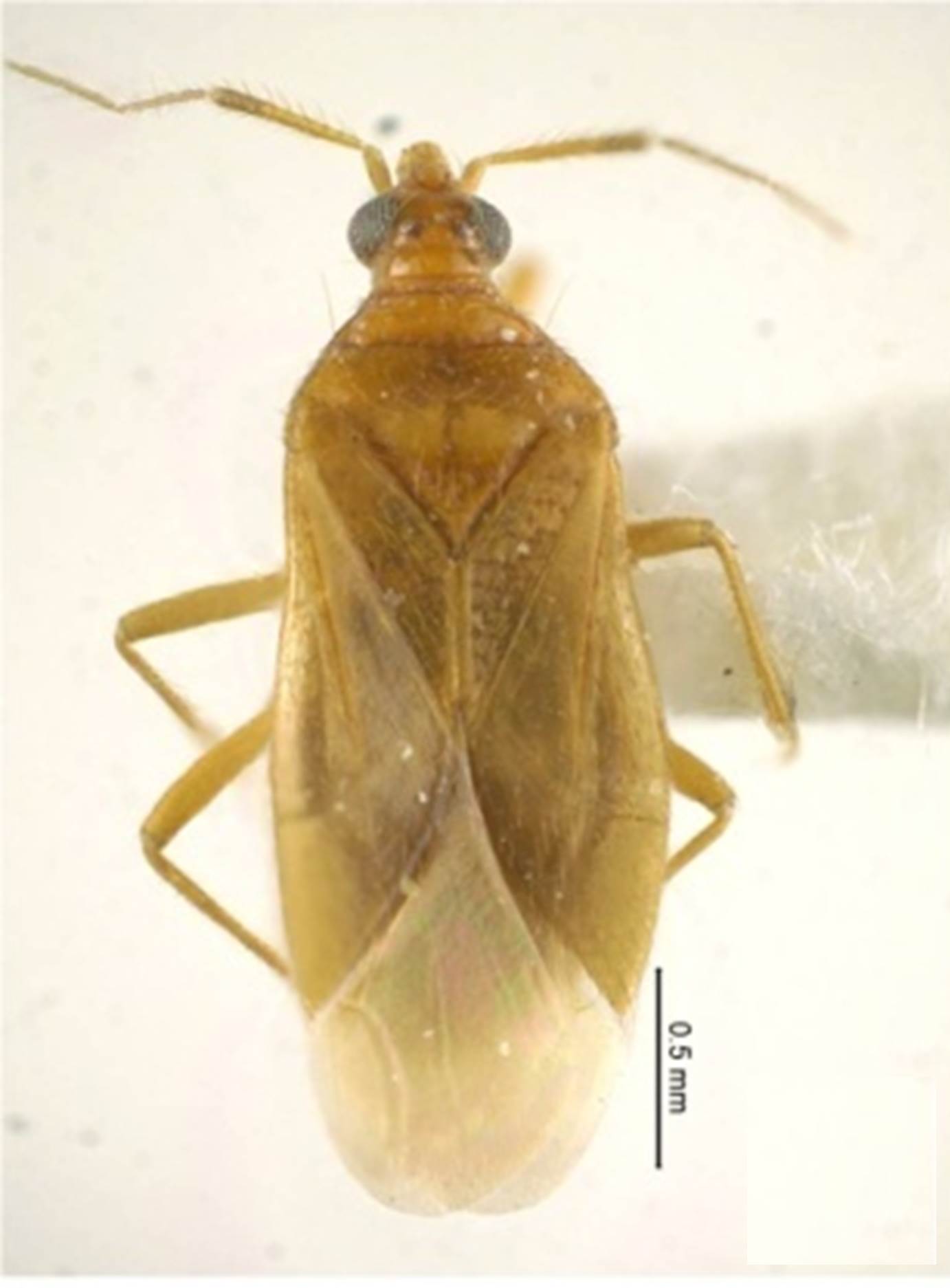 국립생물자원관 한반도의 생물다양성