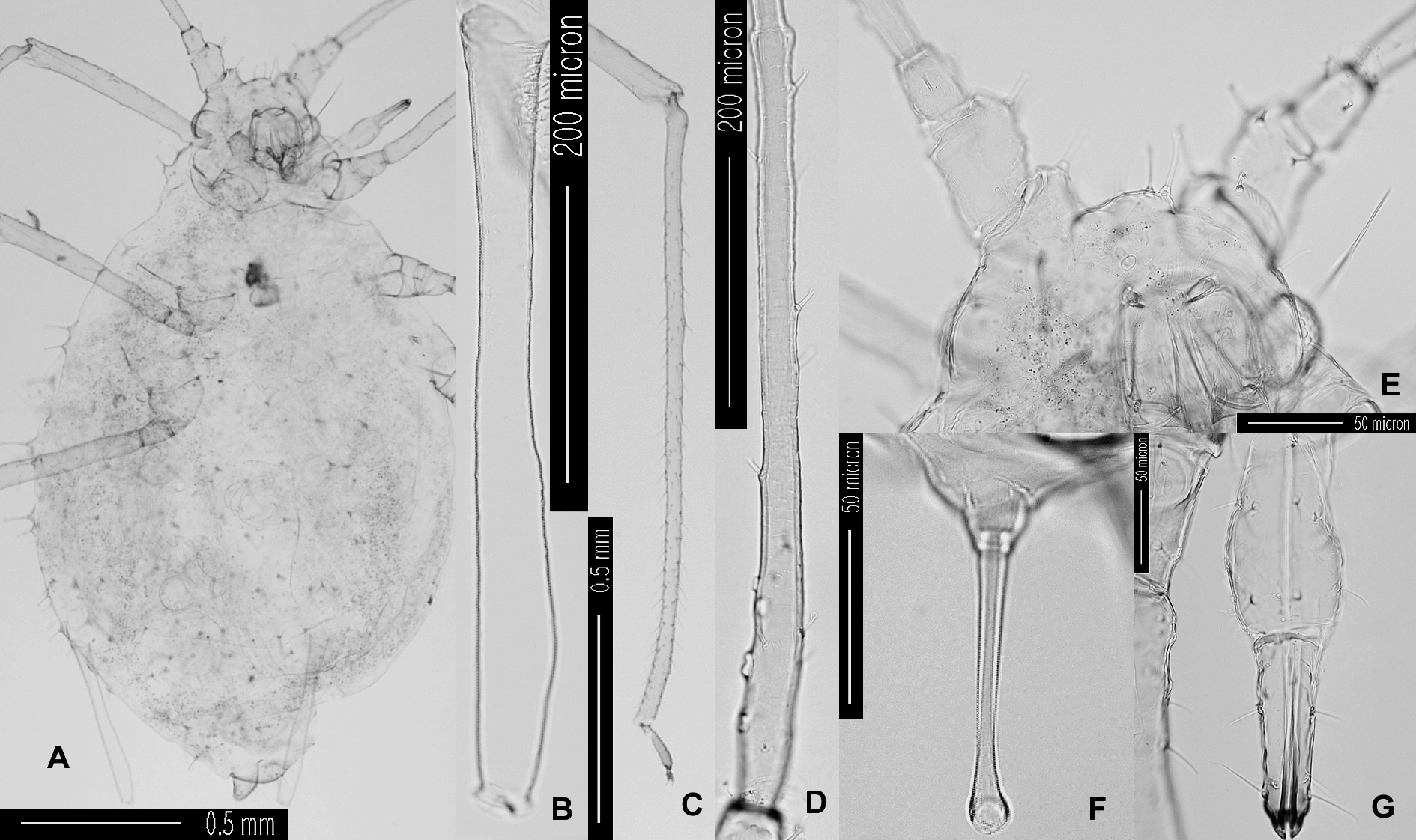 국립생물자원관 한반도의 생물다양성