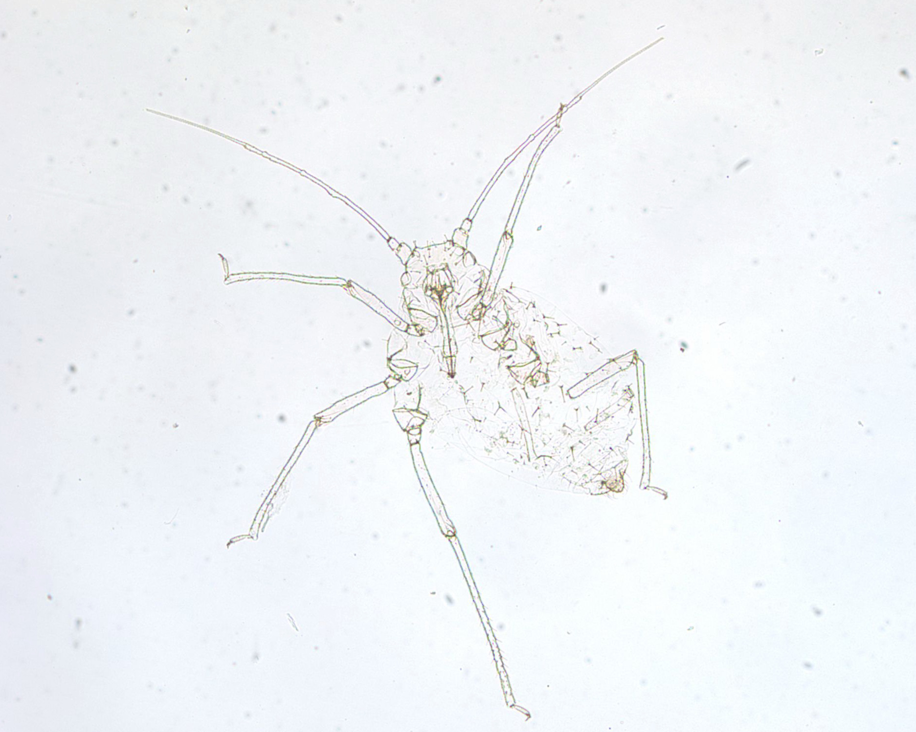 국립생물자원관 한반도의 생물다양성