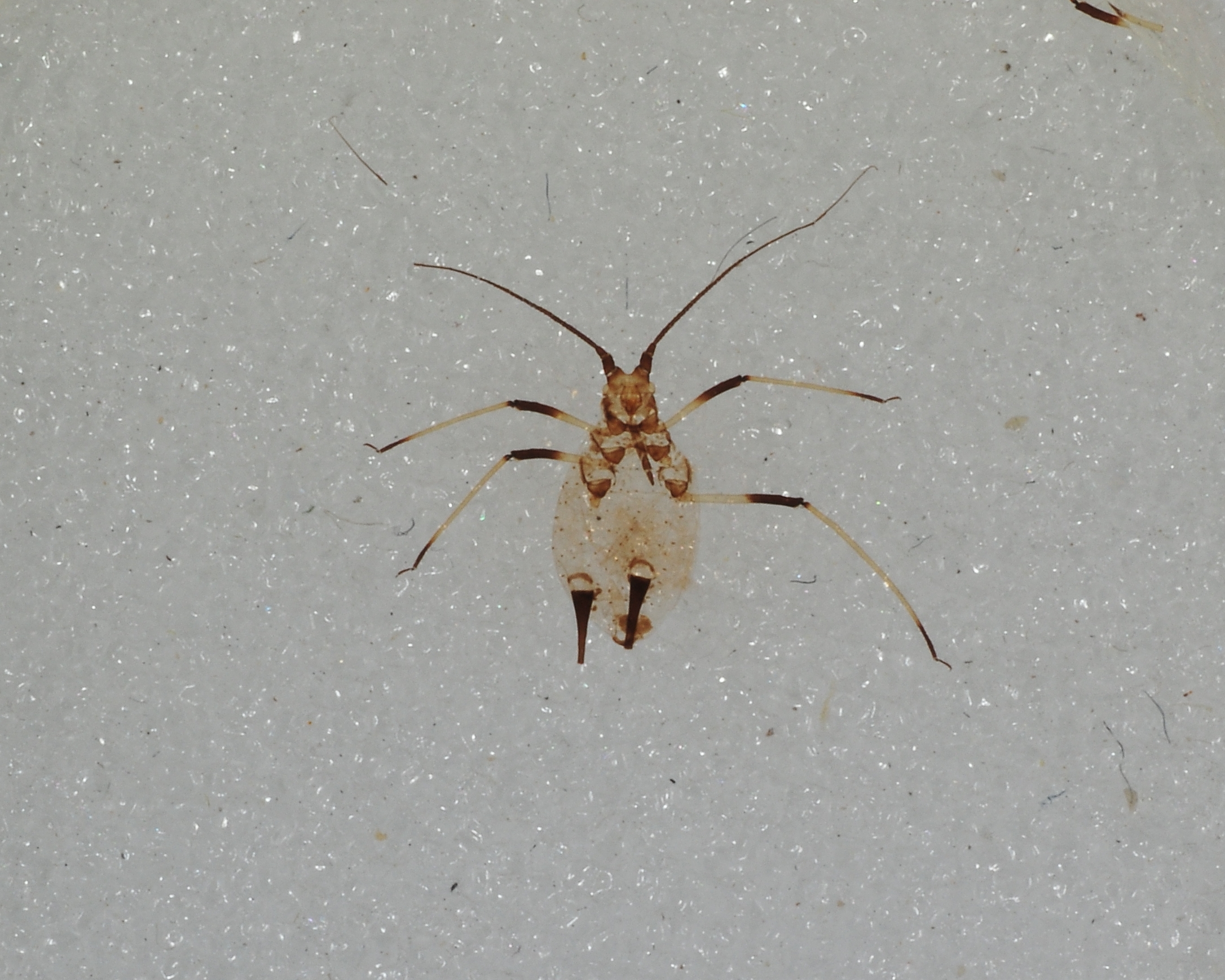 국립생물자원관 한반도의 생물다양성