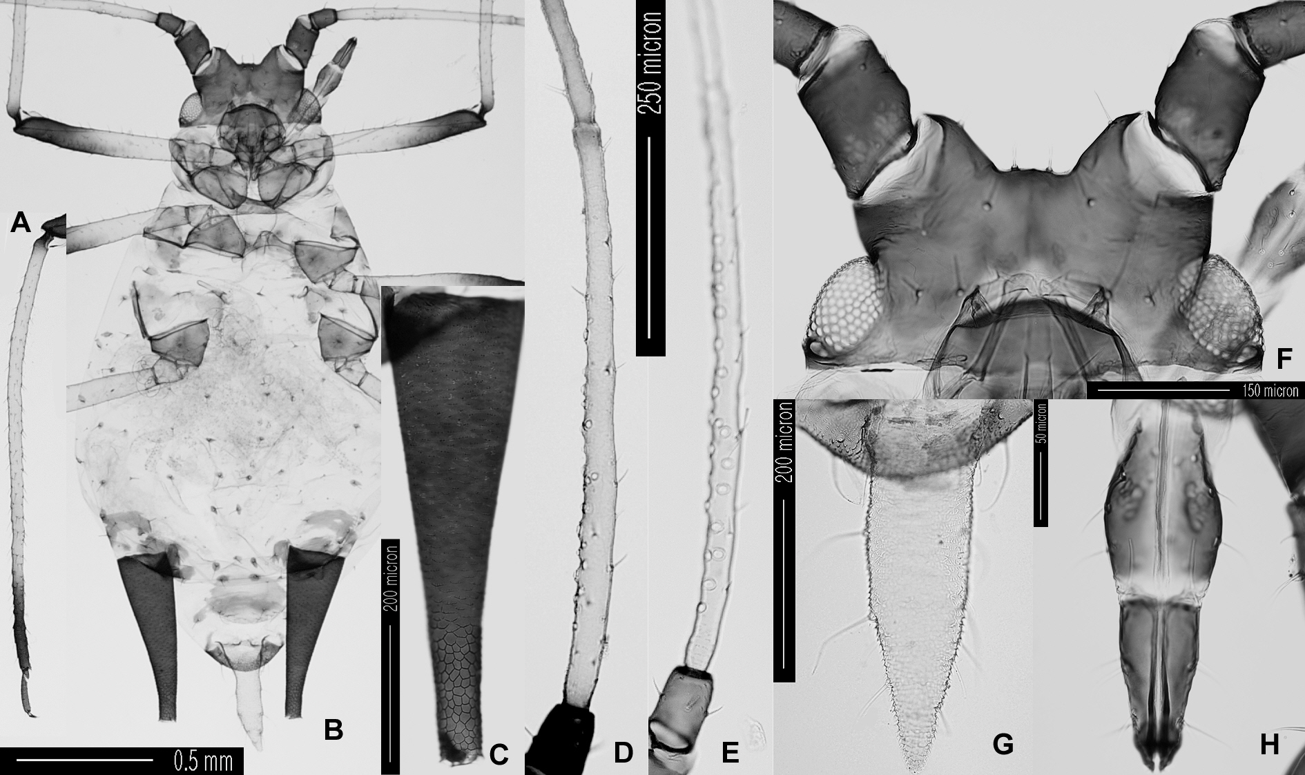 국립생물자원관 한반도의 생물다양성