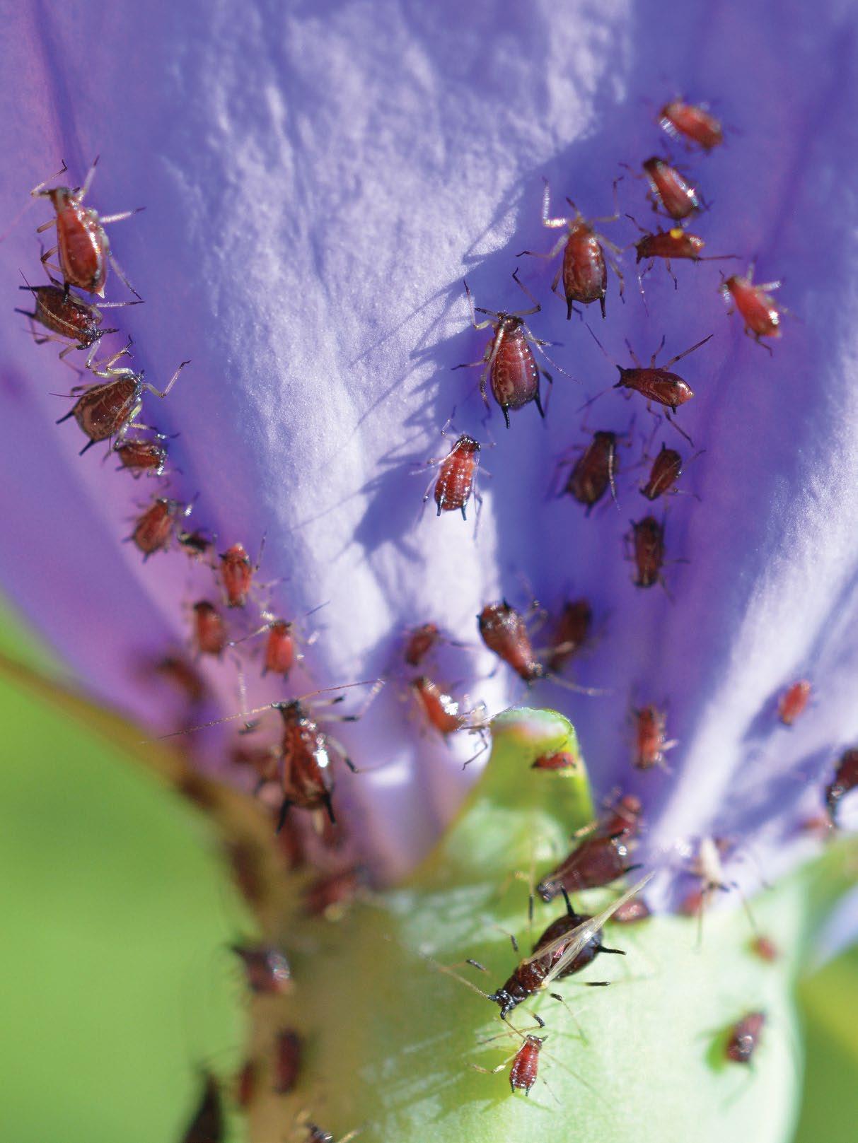 국립생물자원관 한반도의 생물다양성