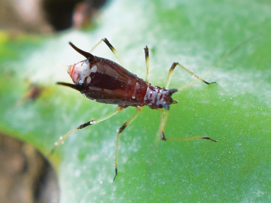 국립생물자원관 한반도의 생물다양성