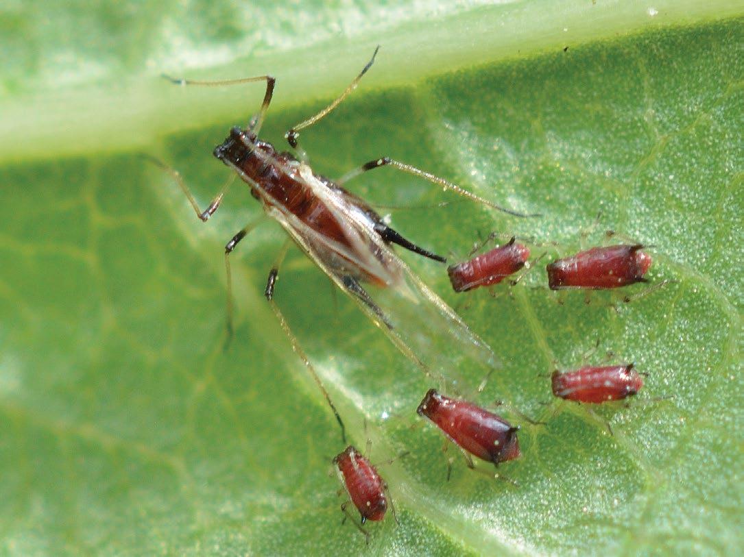 국립생물자원관 한반도의 생물다양성