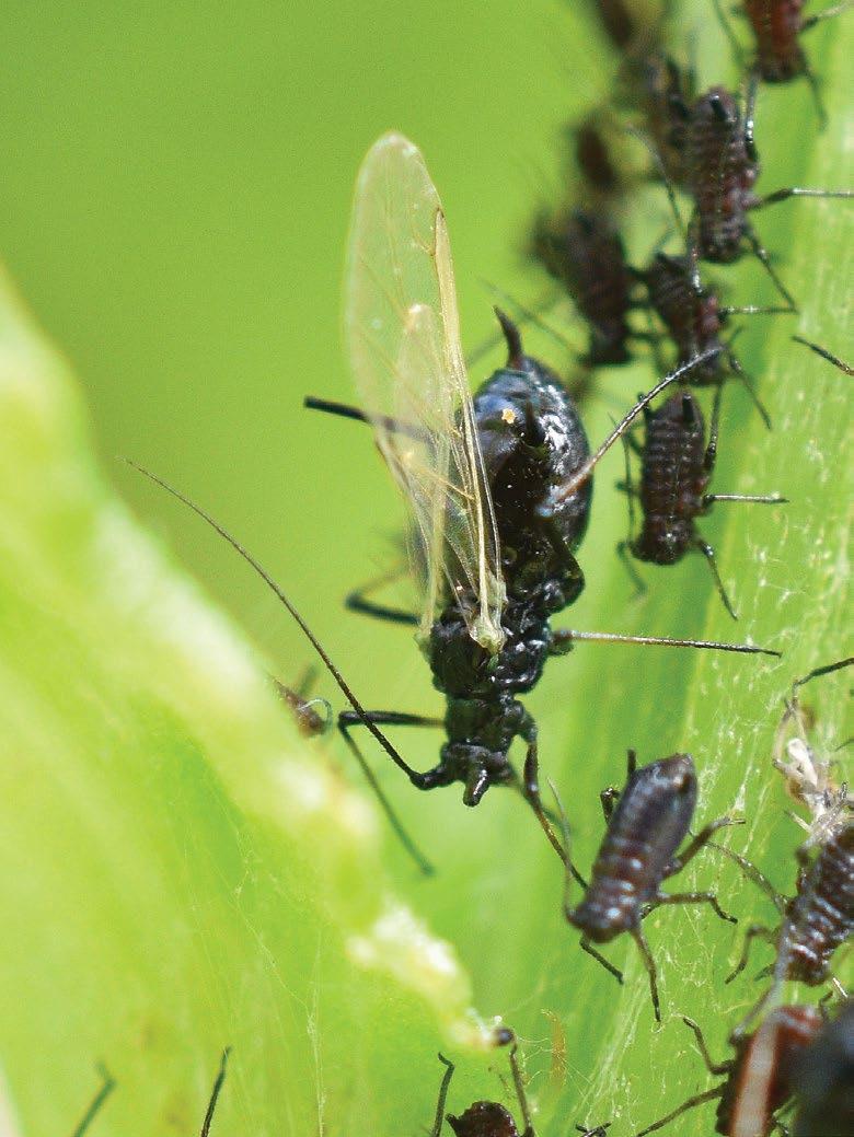 국립생물자원관 한반도의 생물다양성