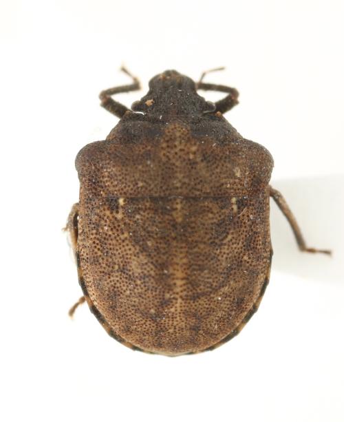 국립생물자원관 한반도의 생물다양성