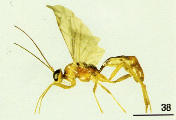 국립생물자원관 한반도의 생물다양성