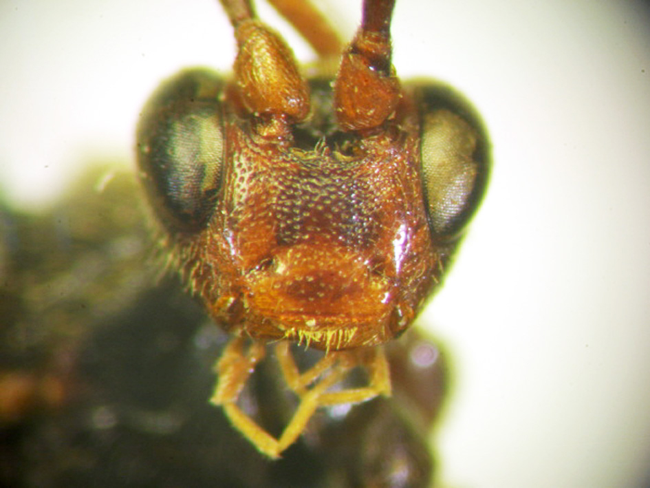 국립생물자원관 한반도의 생물다양성