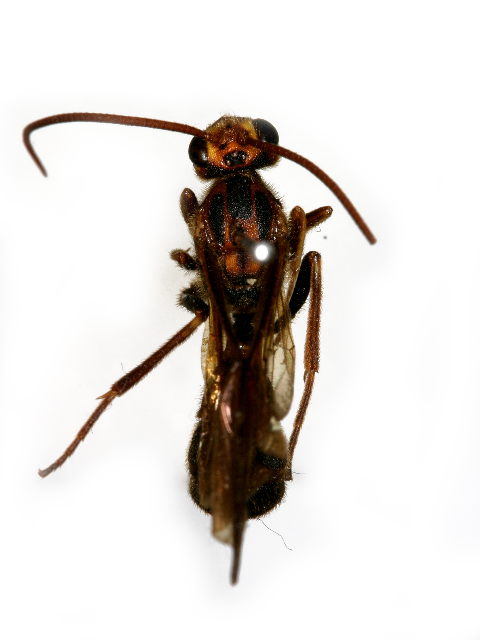 국립생물자원관 한반도의 생물다양성