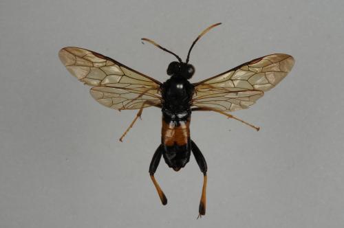 국립생물자원관 한반도의 생물다양성