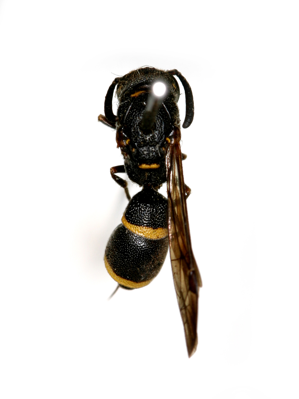 국립생물자원관 한반도의 생물다양성