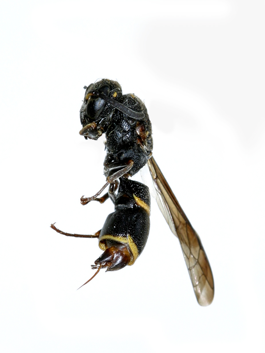 국립생물자원관 한반도의 생물다양성