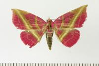 국립생물자원관 한반도의 생물다양성