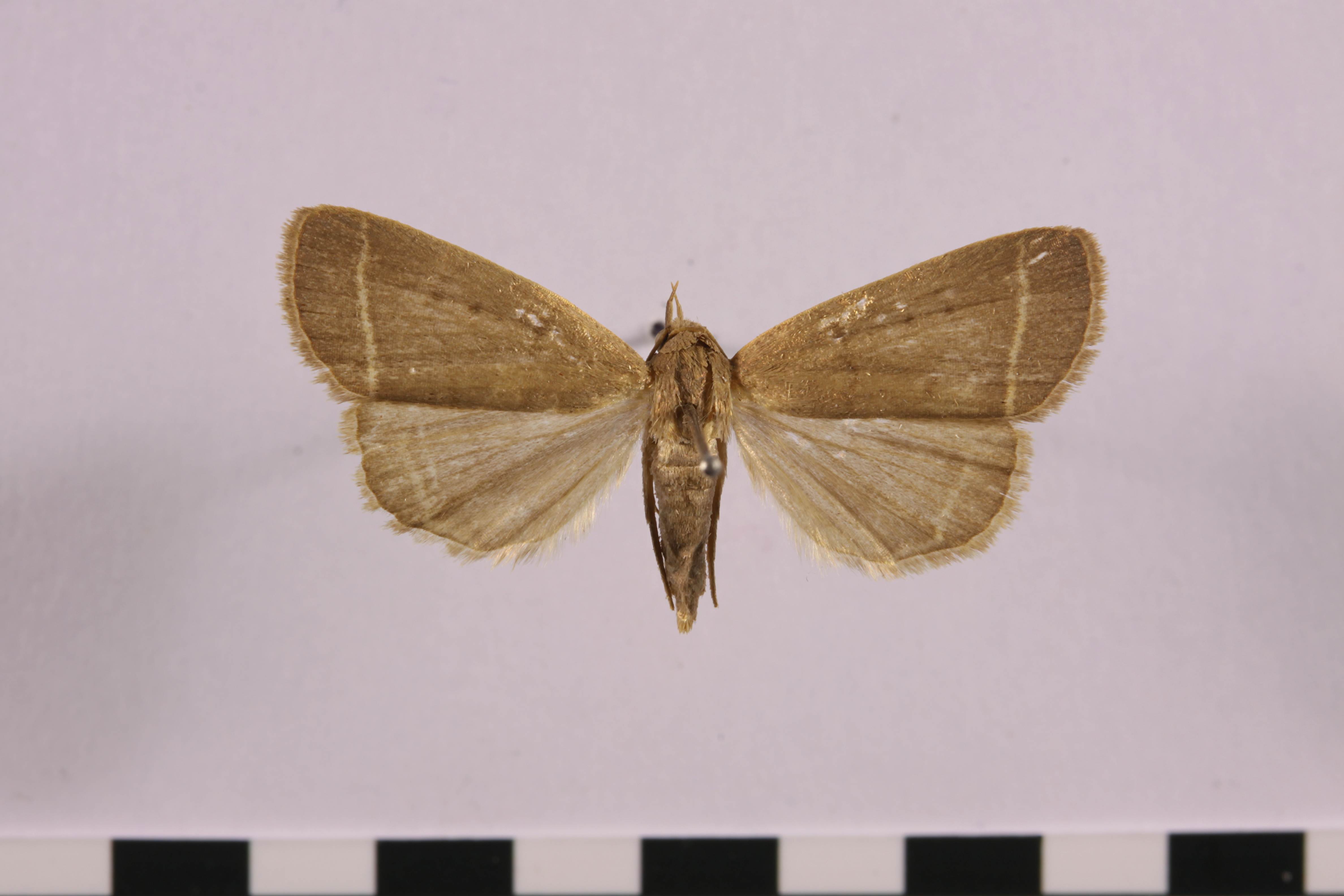 국립생물자원관 한반도의 생물다양성